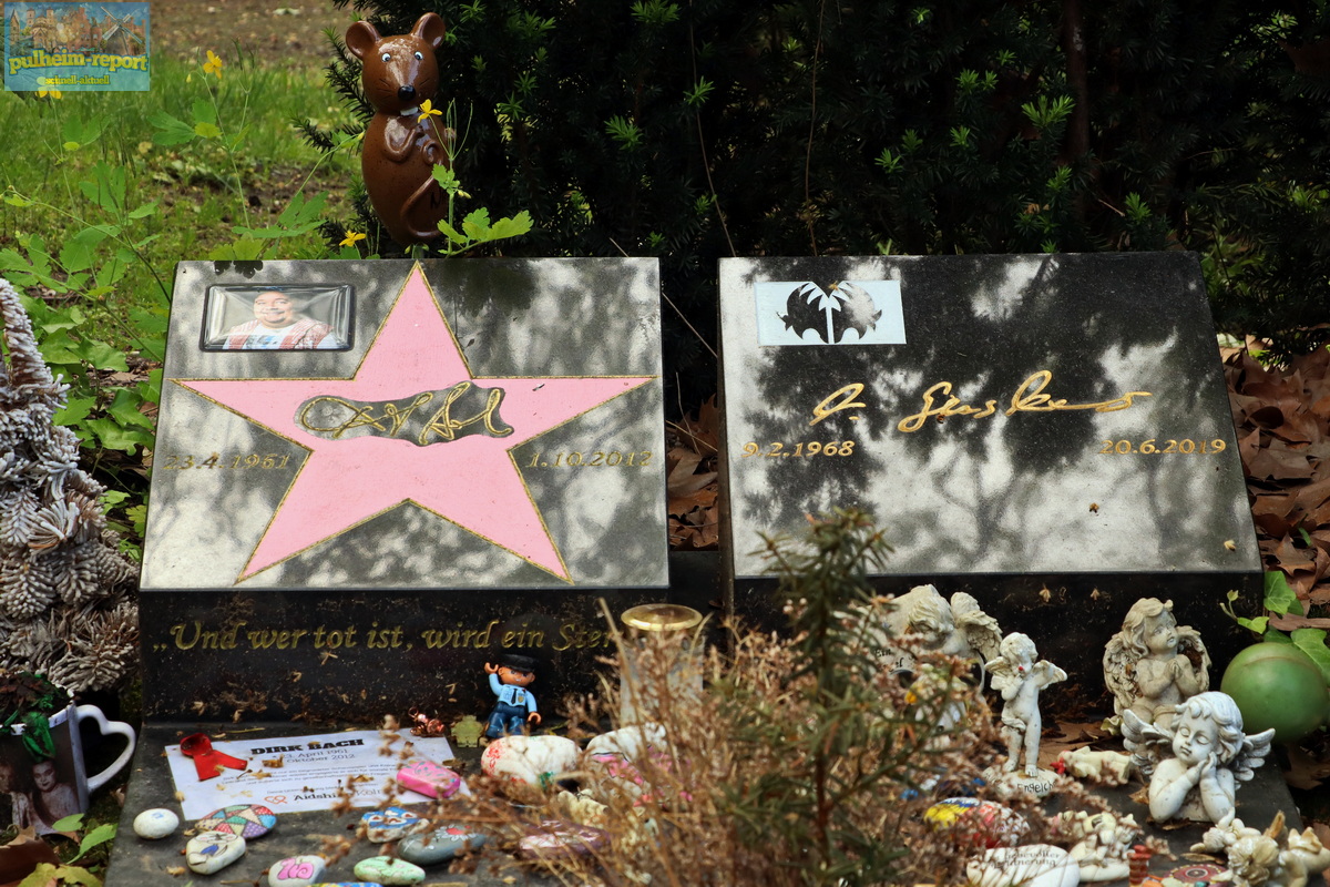 Melaten – So viel mehr als nur ein Friedhof - Pulheim Report